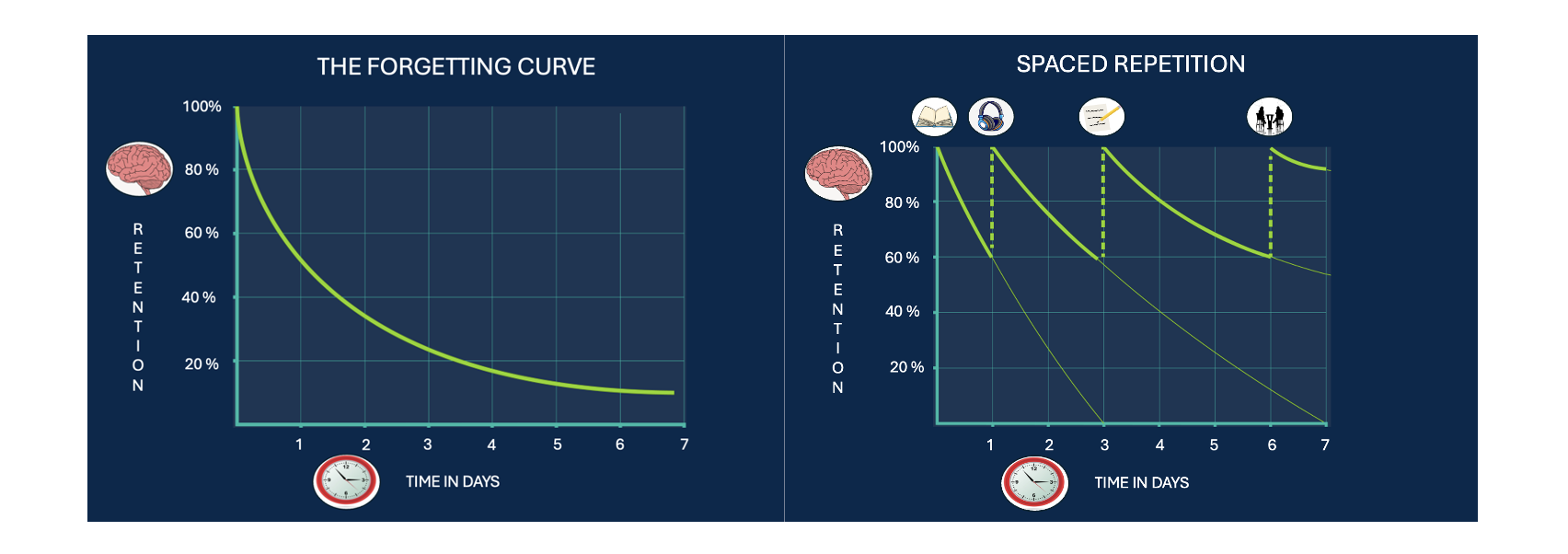 Study Strategies: Spaced Repetition - Tailor-Made Teaching