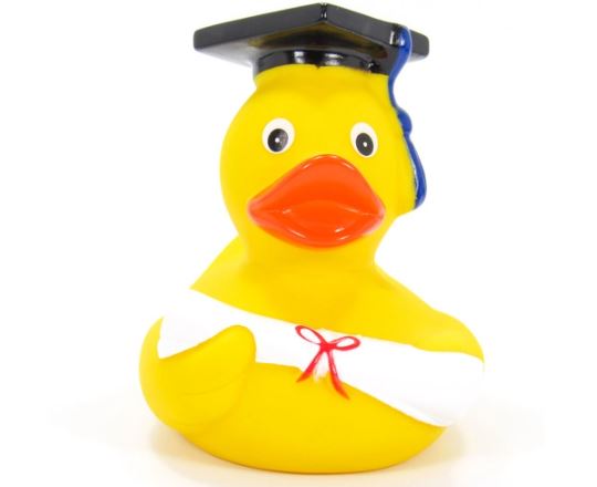 Study Strategies: The Feynman Technique & Rubber Duck Debugging ...